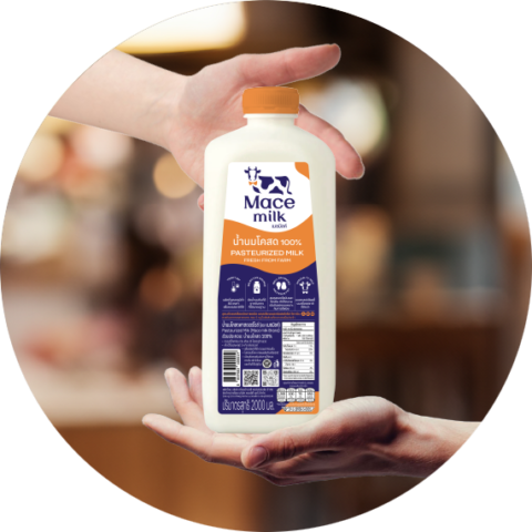 Mace Milk - Mace Milk
